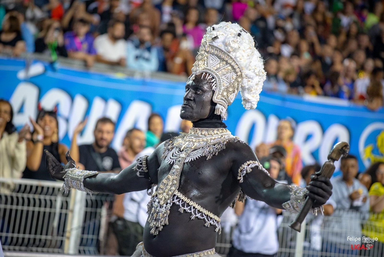 Tem algo fora do ritmo: o baixo número de negros como carnavalescos nas ...